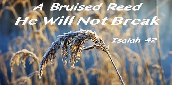 A Bruised Reed He Will Not Break - Greensburg Baptist Church